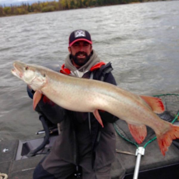NW Angle... The Perfect Spot to Target Lake of the Woods Muskies - Lake ...