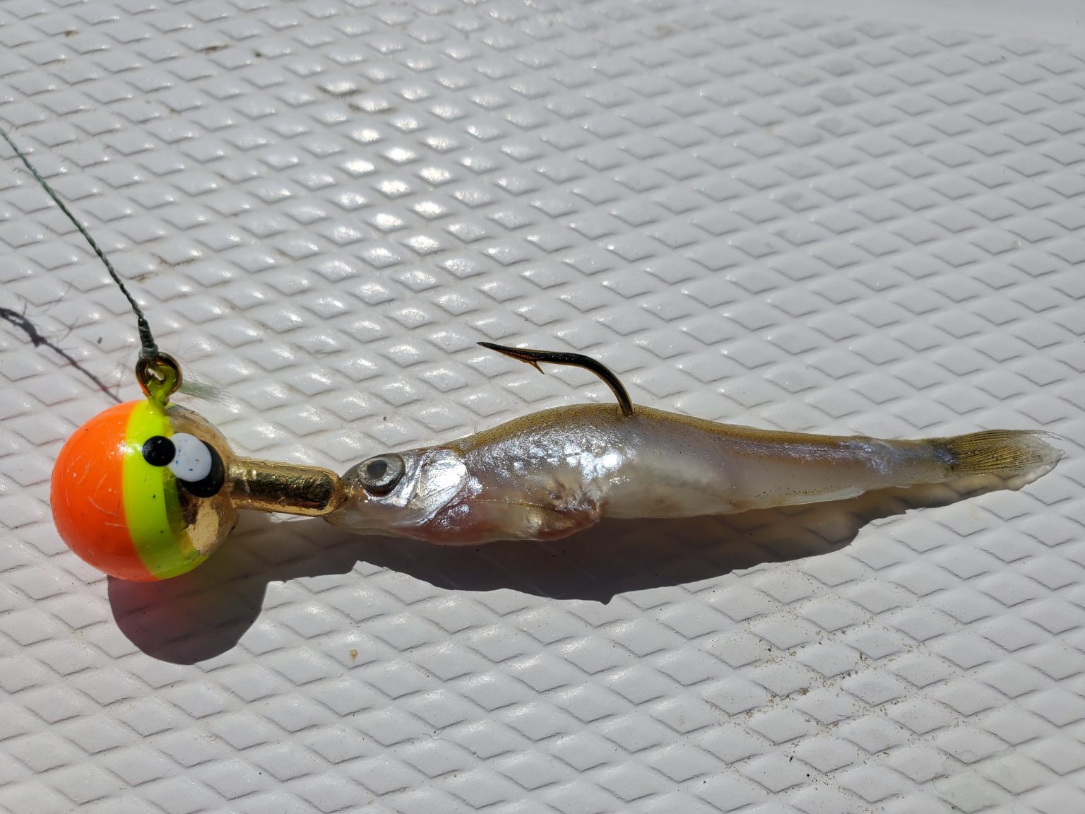 Fall... The Season to Jig for Walleyes - Lake of the Woods