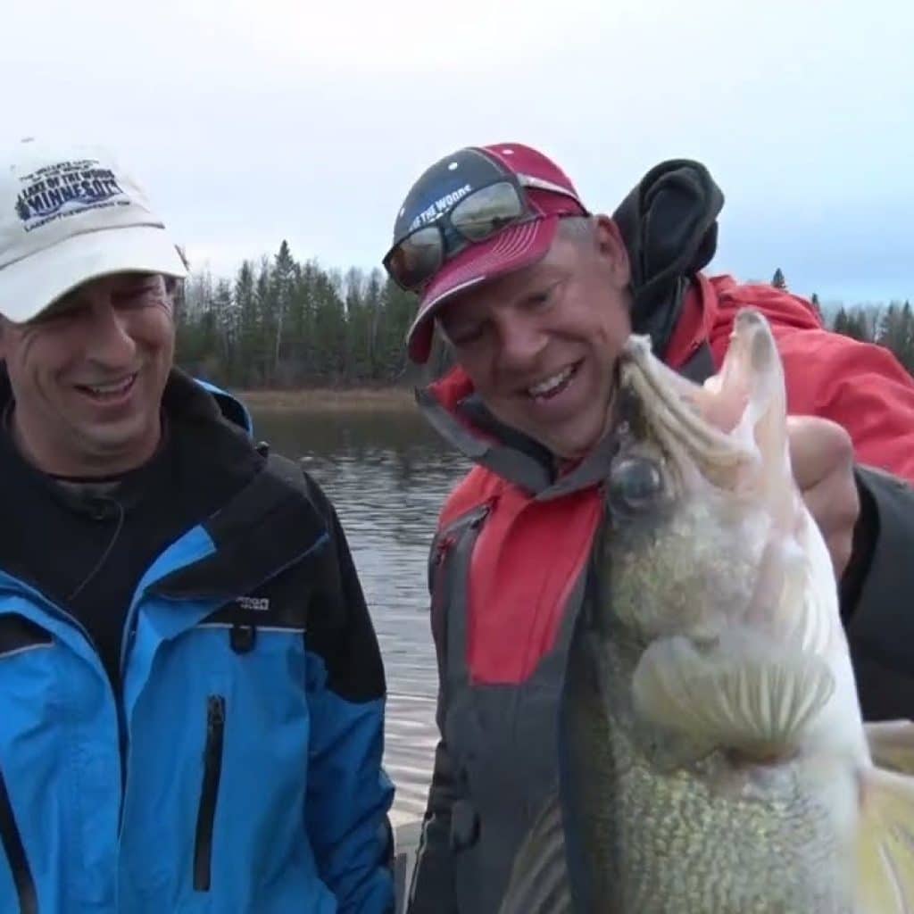 Amazing Walleyes as Deer Hunting Approaches - Lake of the Woods
