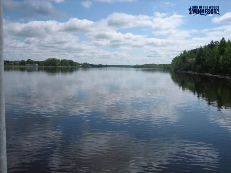 Limits & Species - Walleyes, Saugers, Northern Pike, Crappies