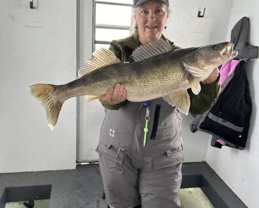 Honey Fried Walleye - Lake of the Woods