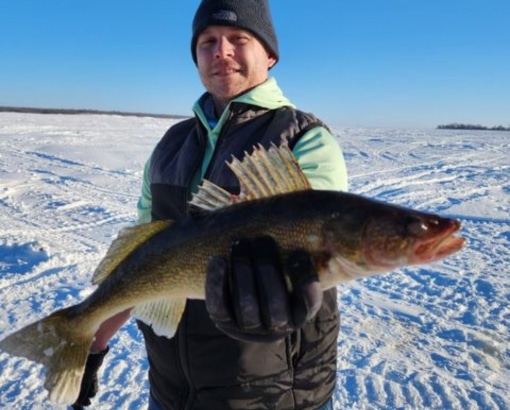 Honey Fried Walleye - Lake of the Woods